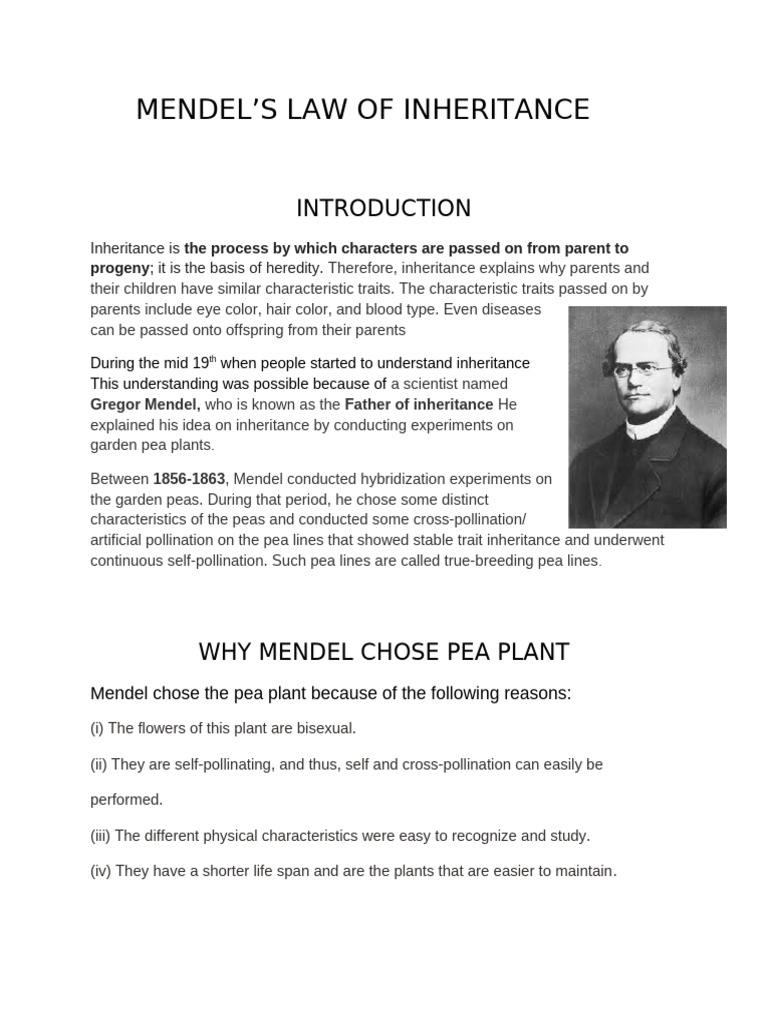 Bio Project | PDF