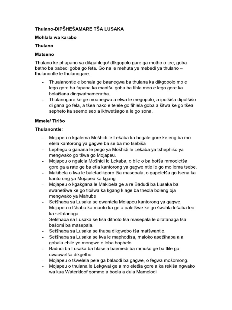 ThulanoLusaka 072755 | PDF