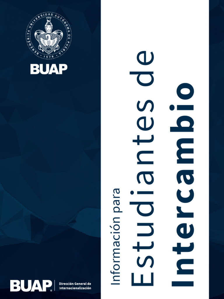 DGI - Factsheet Espanol 2025 | PDF