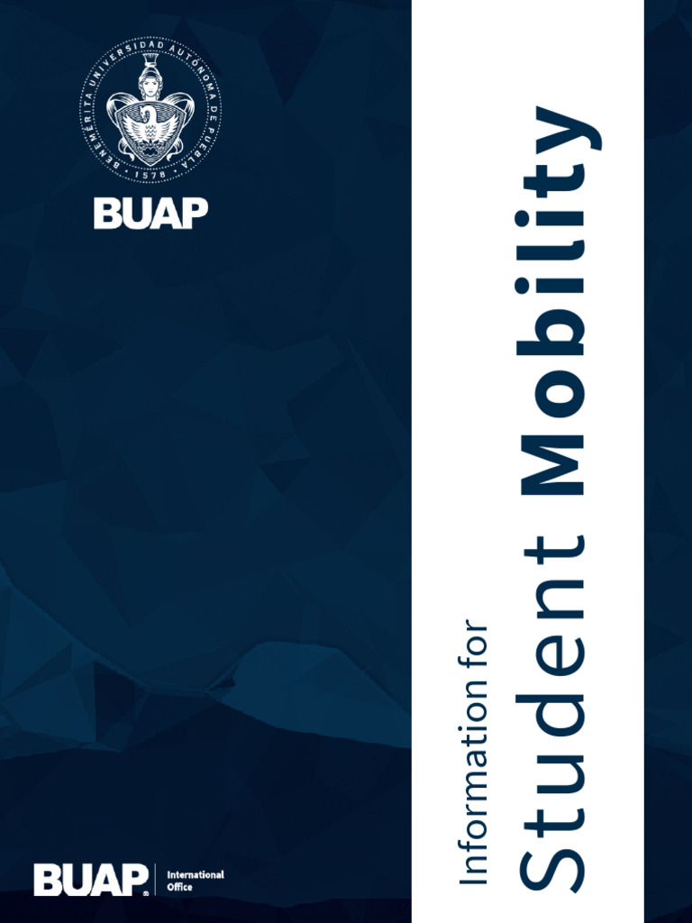 DGI - Factsheet English 2025 | PDF