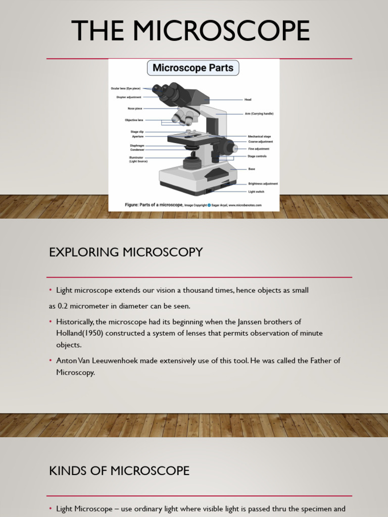Exploring Micros | PDF