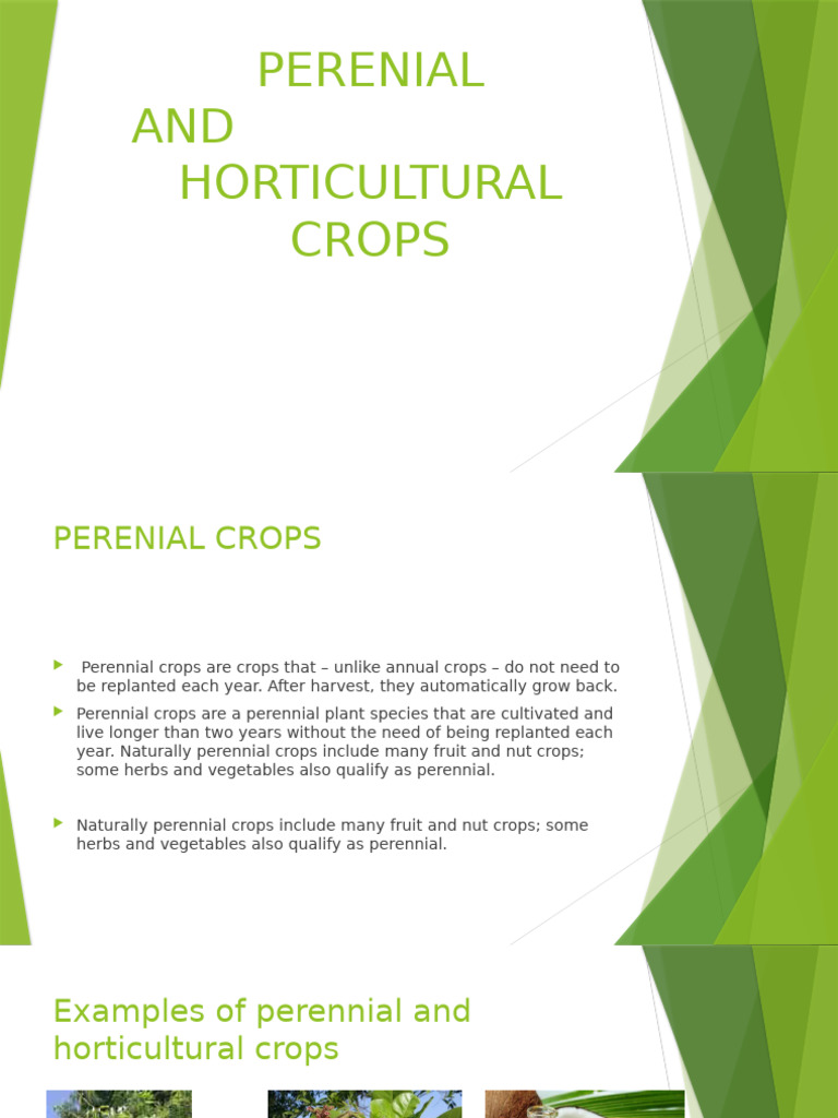 IM's Ma'am Ladao | PDF