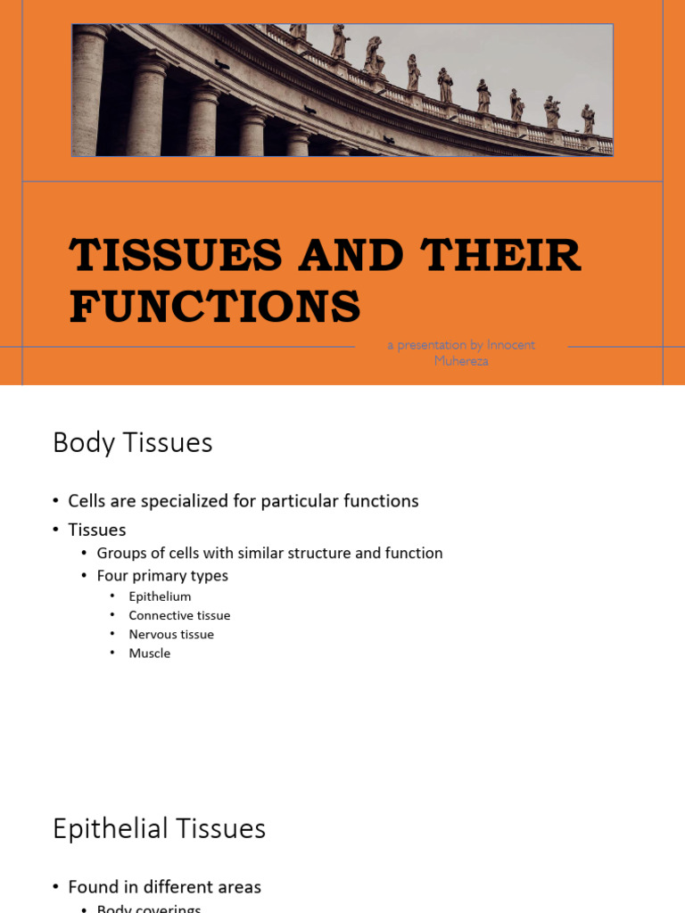 Tissues and Their Functions | PDF | Epithelium | Wellness