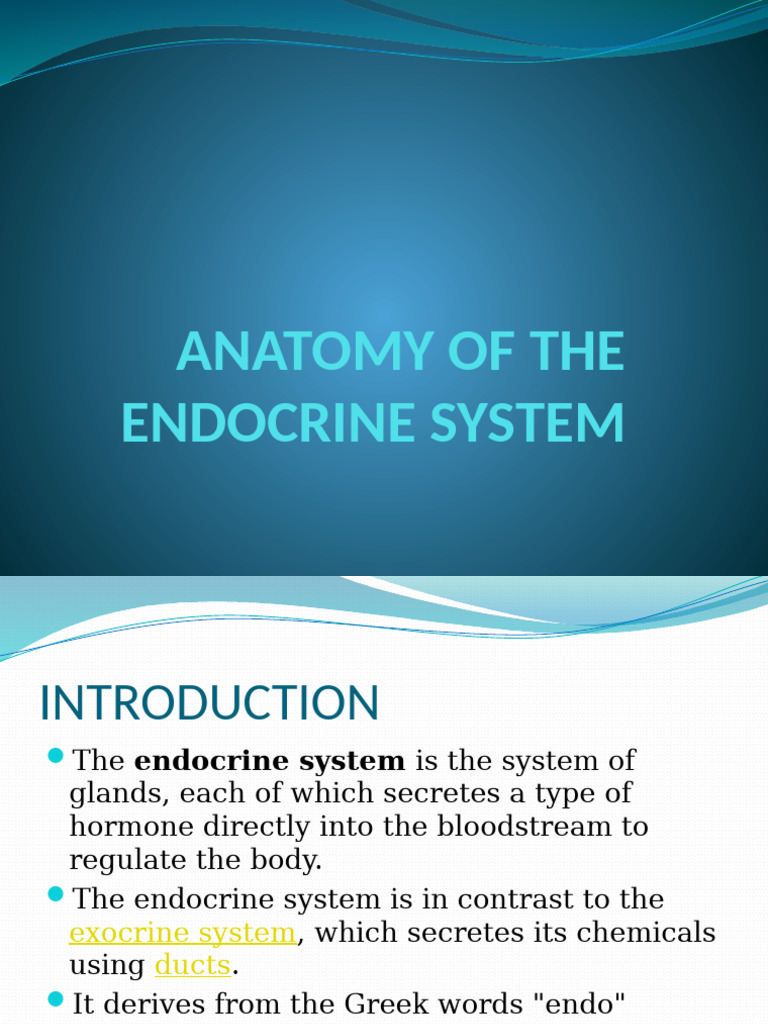 Anatomy of The Endocrine System | PDF