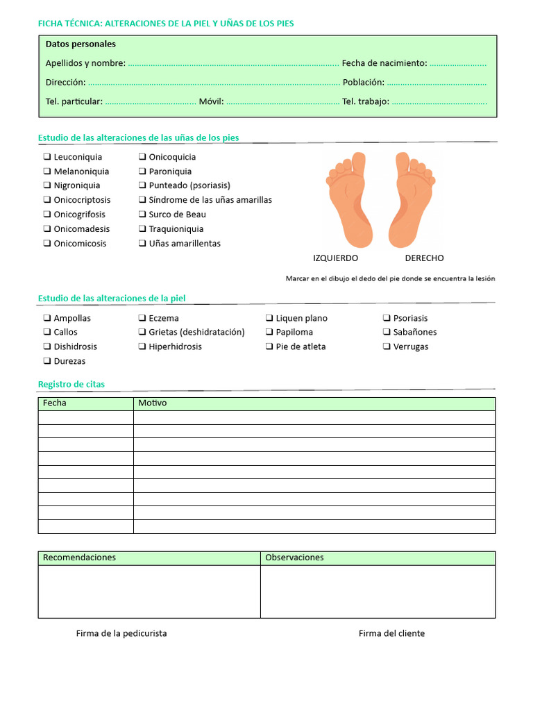 ficha tecnica pies | PDF