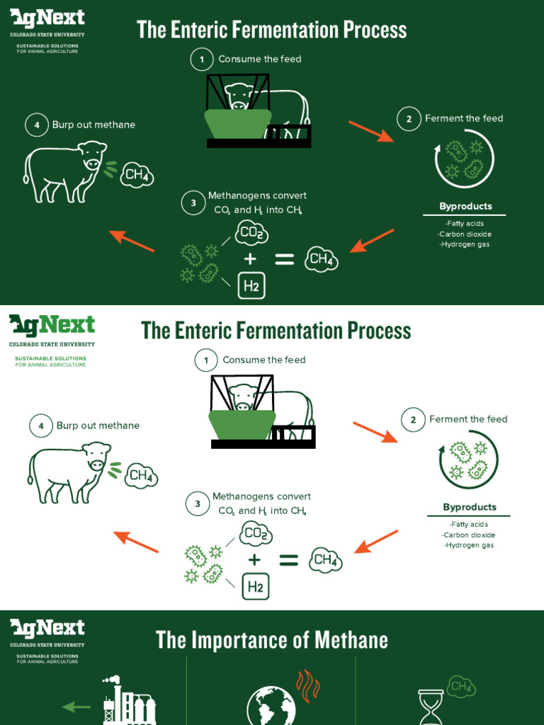 Methane Graphics ALL | PDF