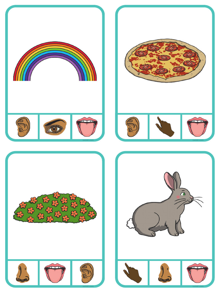 T TP 1656887217 Five Senses Peg Cards - Ver - 1 | PDF