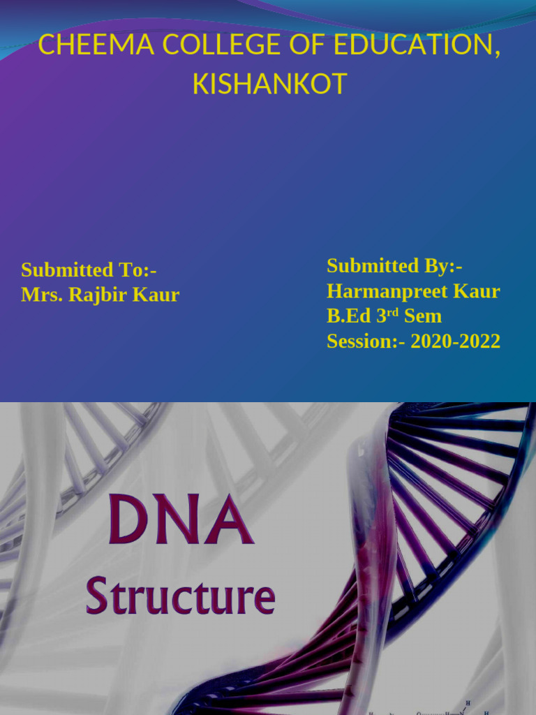DNA Structure | PDF