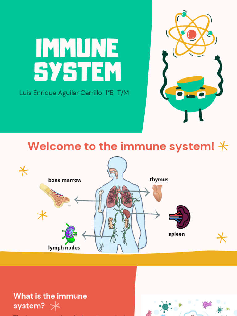 Immune System | PDF