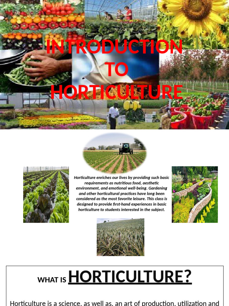 Intro To Horticulture | PDF