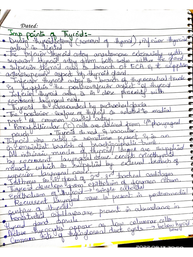 Exam Points of Thyroid Gland Anatomy | PDF