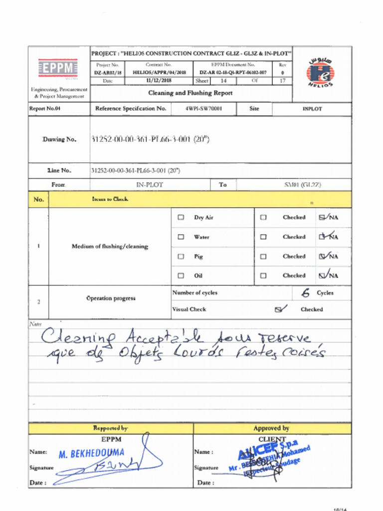 Cleaning Report | PDF