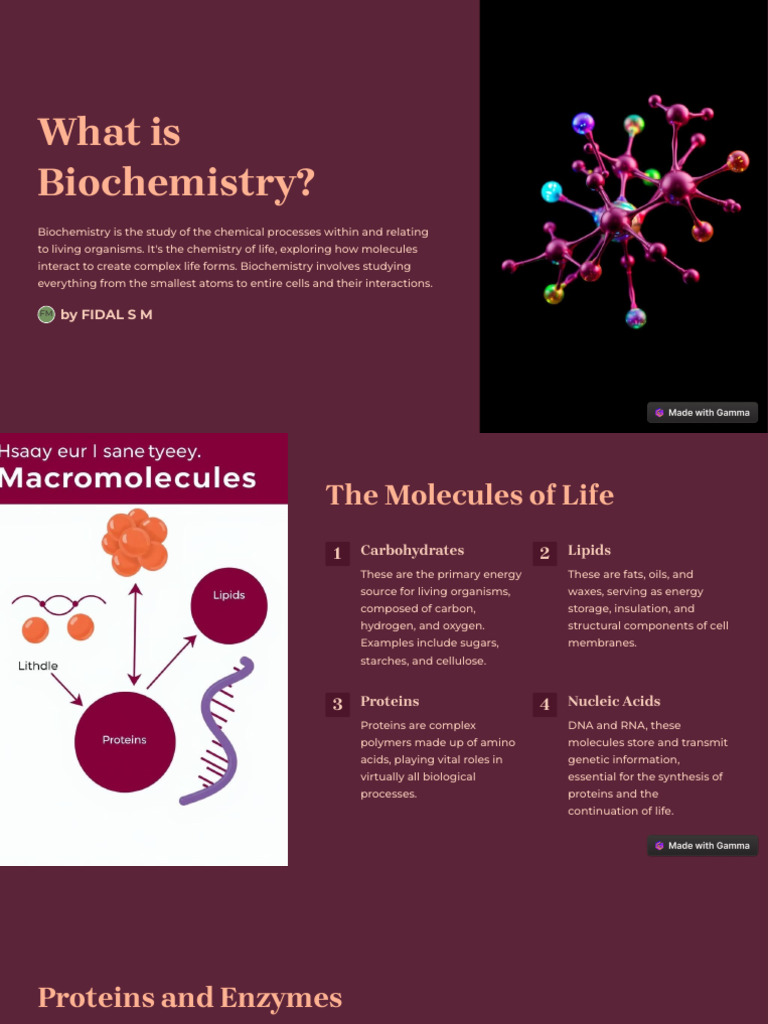 What is Biochemistry | PDF