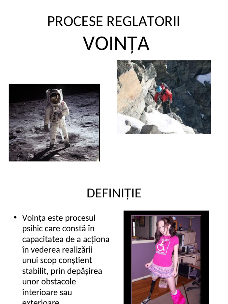 Prezentare Vointa | PDF