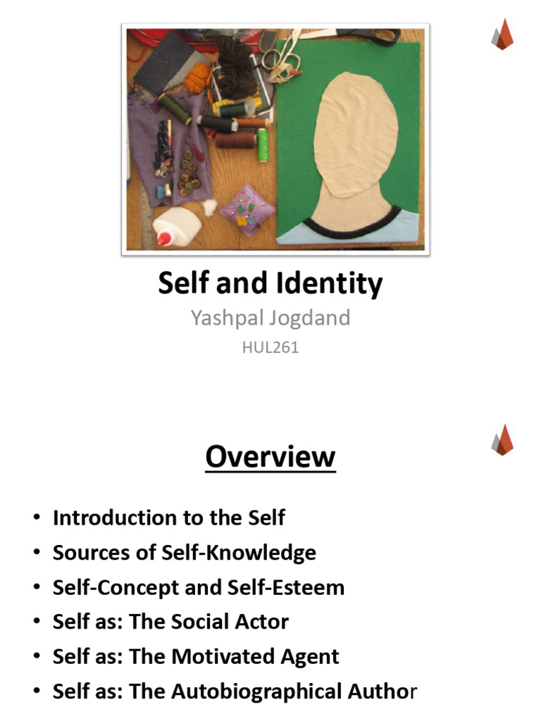 Self and Identity | PDF