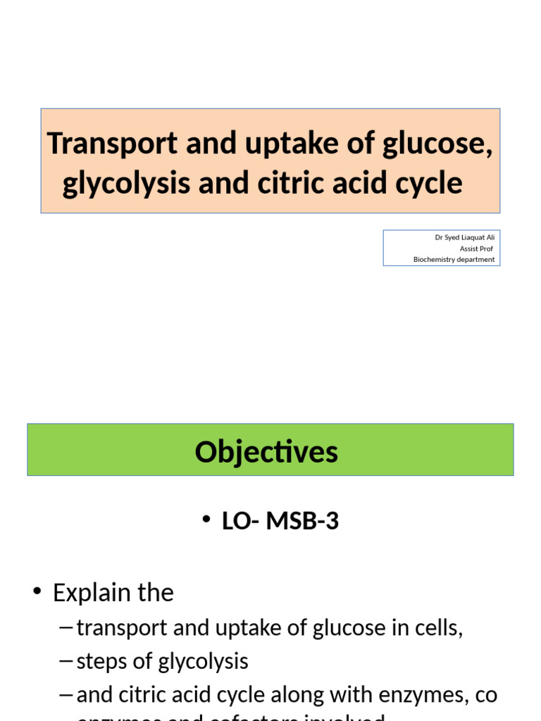 MSB-3 GLUT, Metabolism | PDF