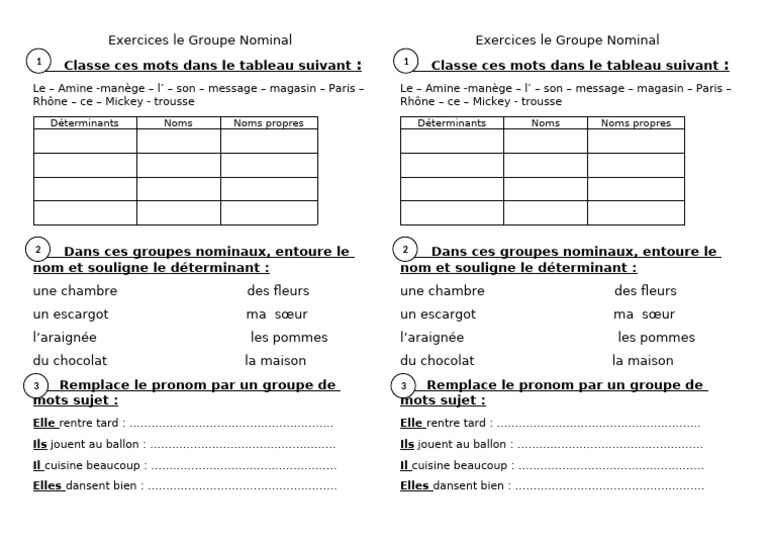 Exercices sur le Groupe Nominal CM2 | PDF
