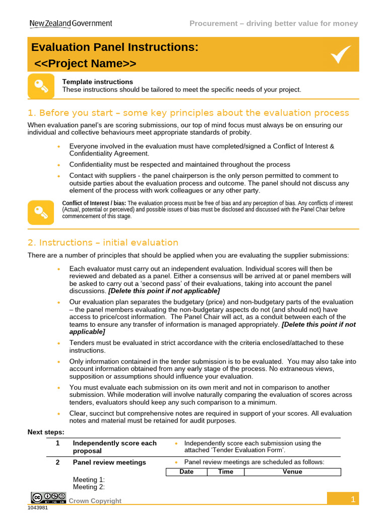 Template Instructions For Panel Evaluation | PDF