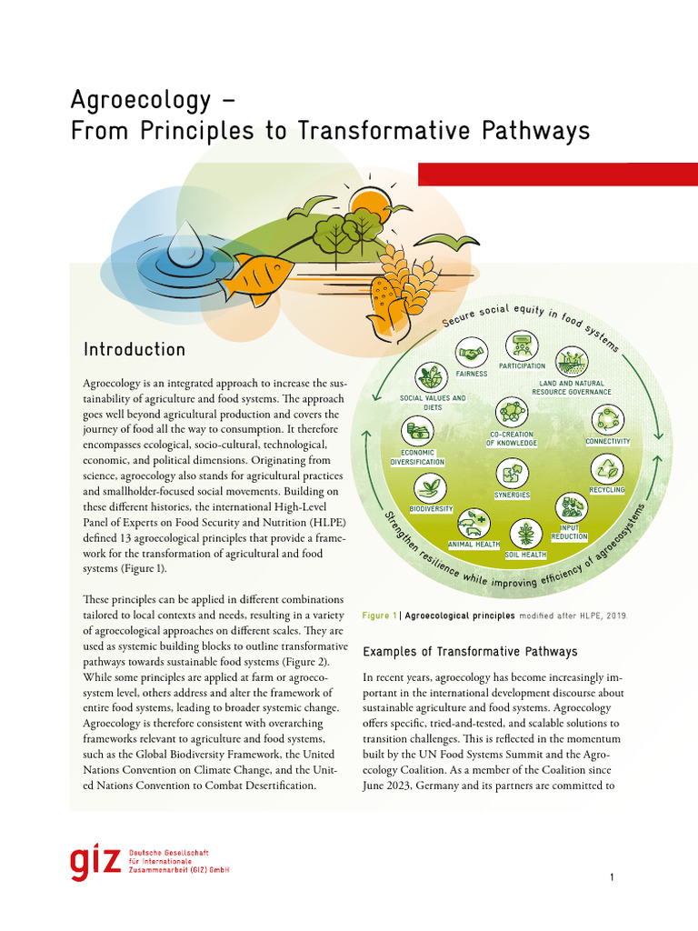 Agroecology - From Principles to Transformative Pathways | PDF