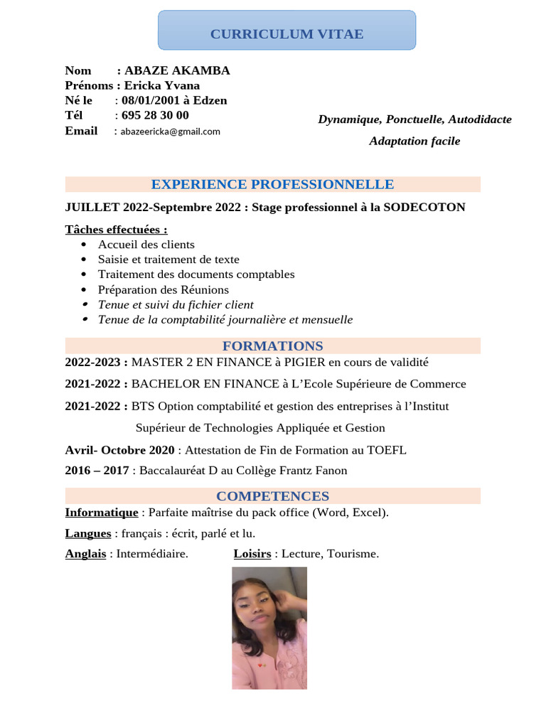 Copie de CV - Abaze ' | PDF