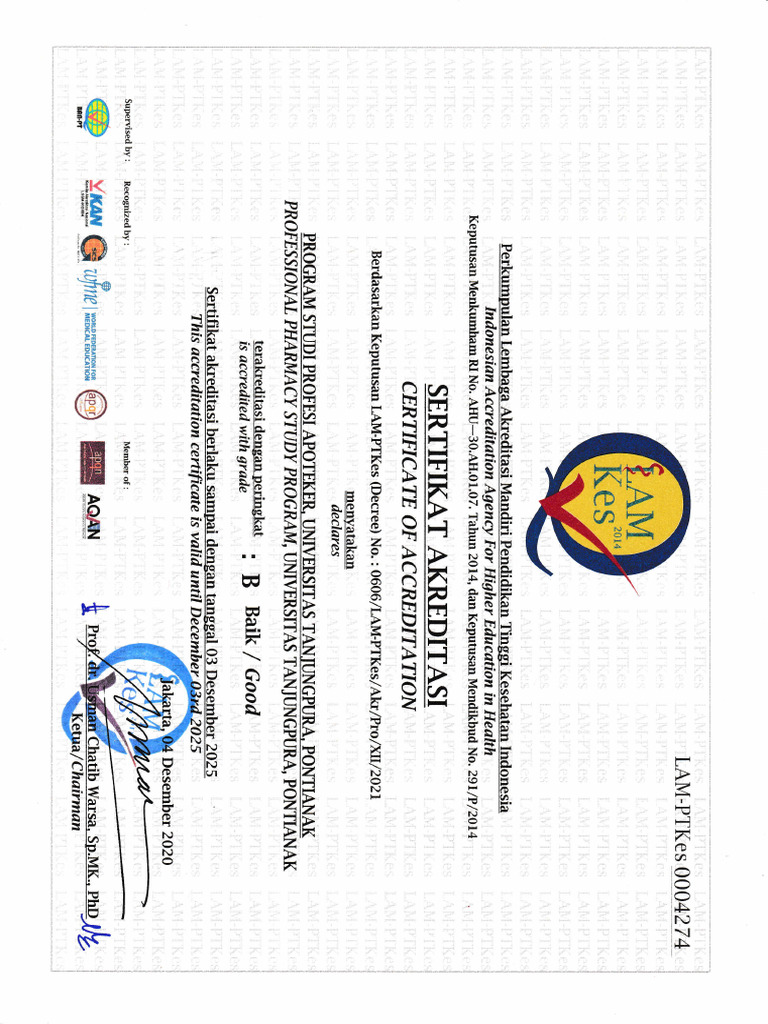 Akreditasi 2020 Profesi | PDF