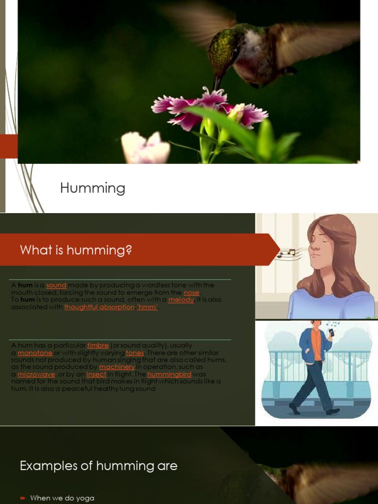 Scienceproject Humming | PDF