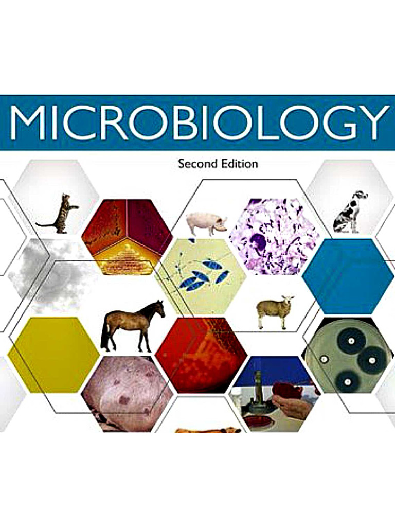 Last 5 Year Microbiology Paper Review | PDF