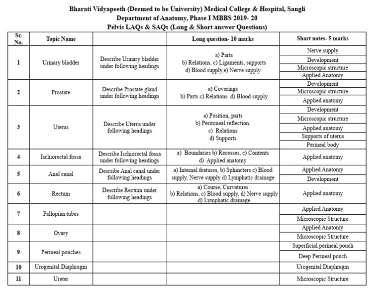 Pelvis LAQs & SAQs | PDF