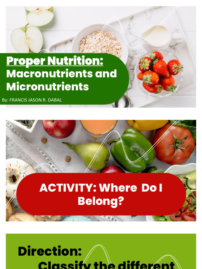 PE Macro and Micronutrients | PDF