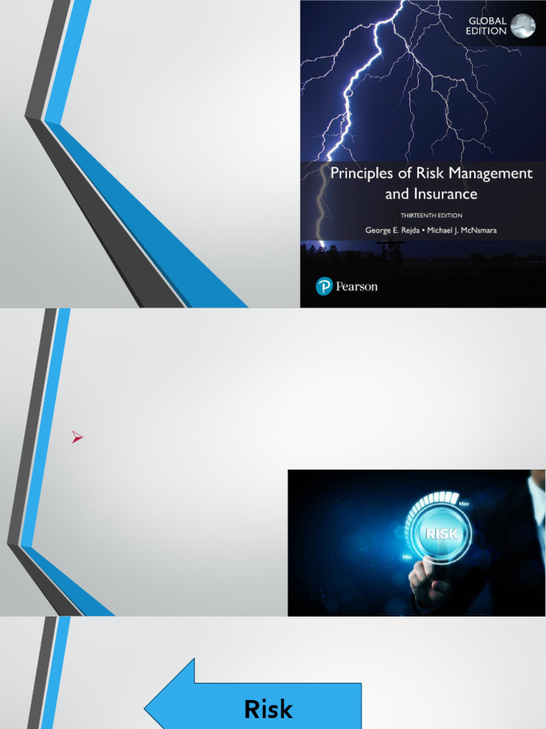 CH 1 Risk MGT Ins | PDF