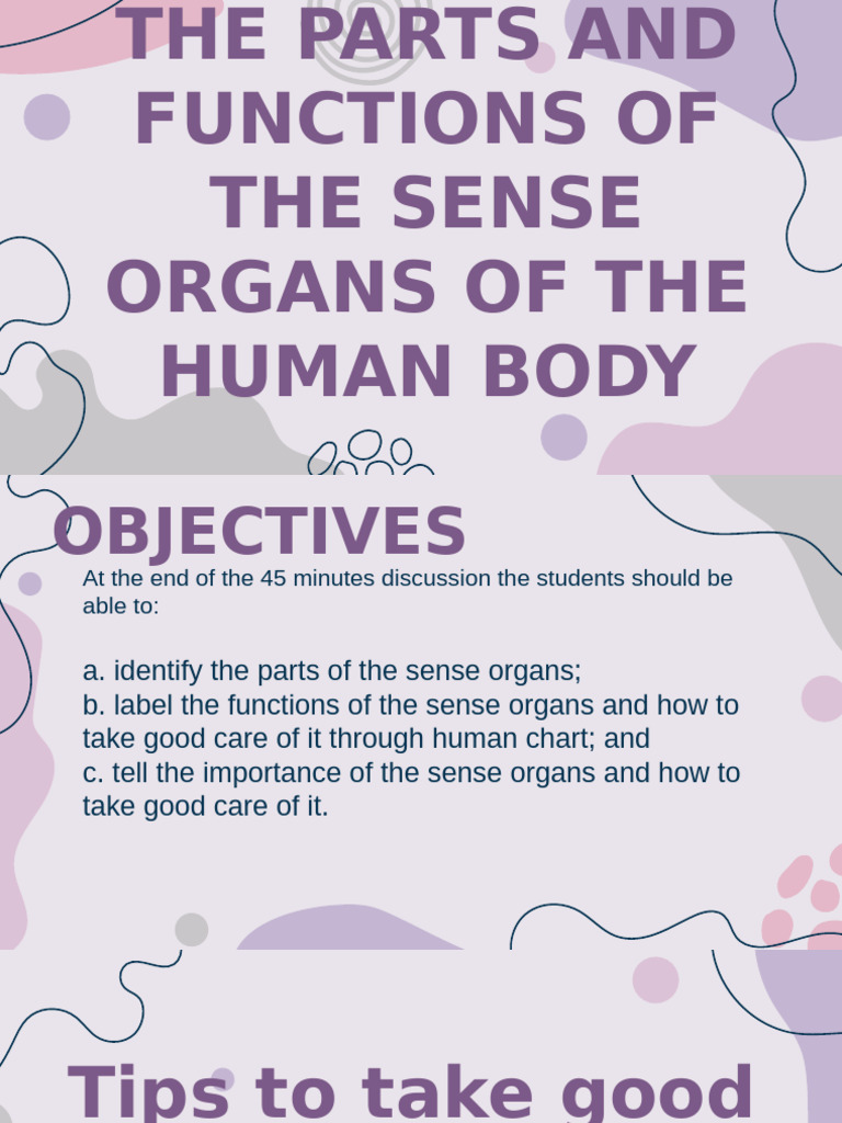 Subtle Shapes Colors Personal Organizer For Brazilian Teachers | PDF