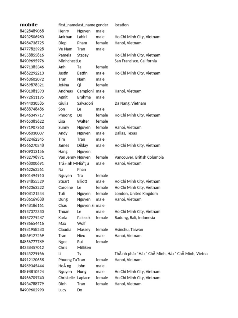 Vietnam 10k Data | PDF