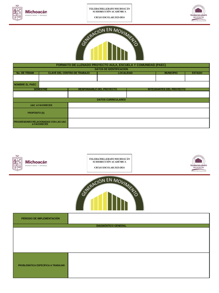 Formato de Paec Editable | PDF