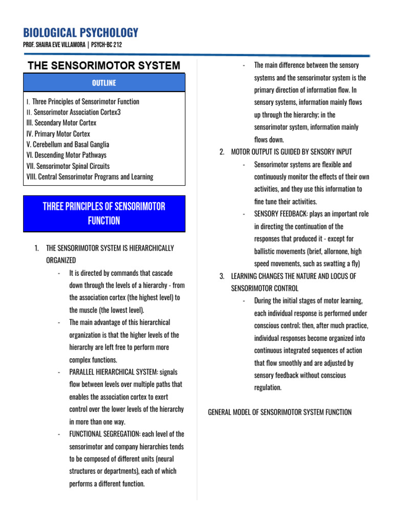 Biopsych Sensorimotor System | PDF