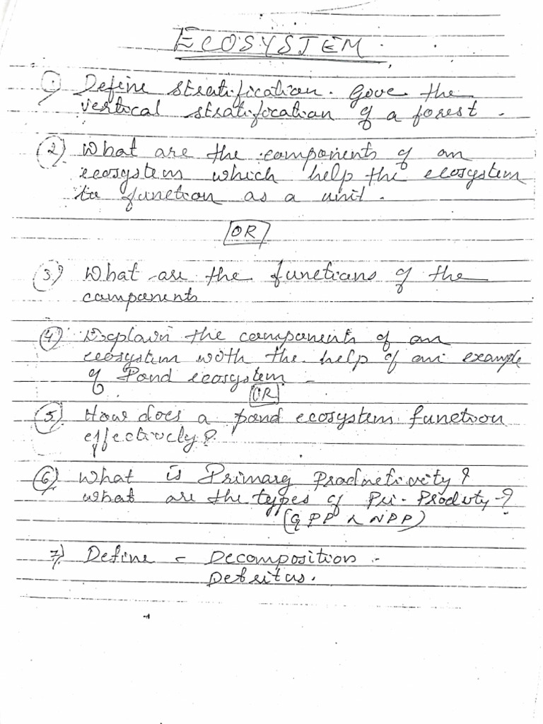 Ecosystem QN Bank | PDF