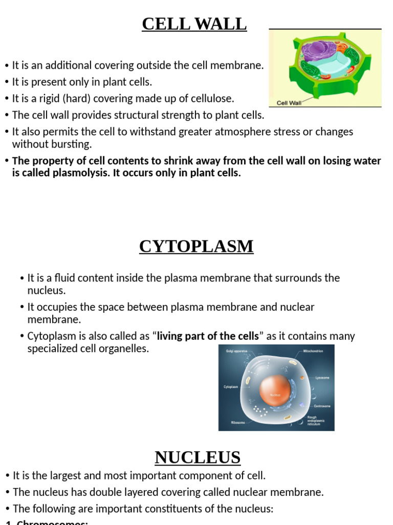 Fundamental Unit of Life | PDF