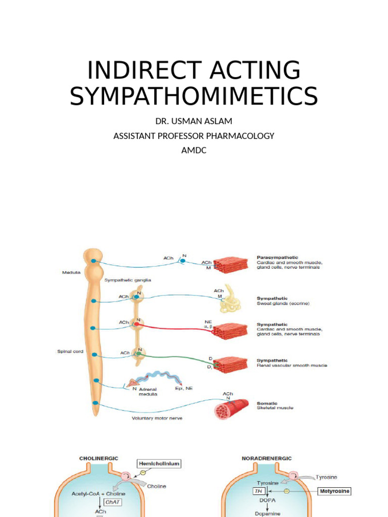 Indirect Acting Sympathomimetics | PDF