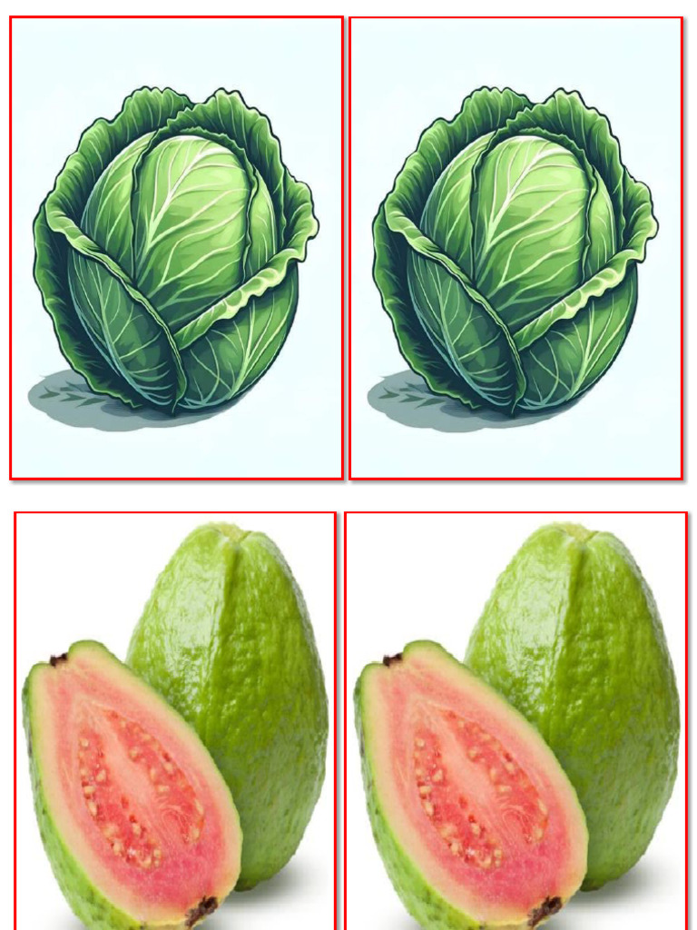 Fruits | PDF