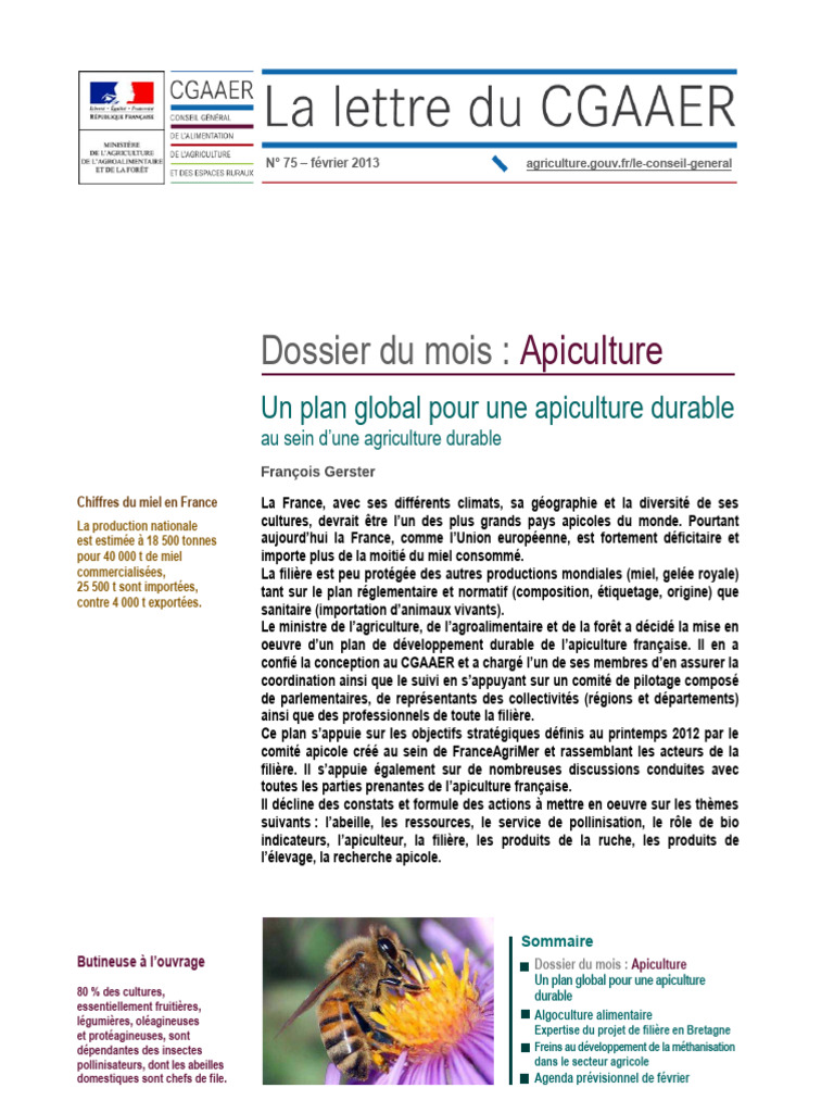 Un Plan Global Pour Une Apiculture Durable | PDF