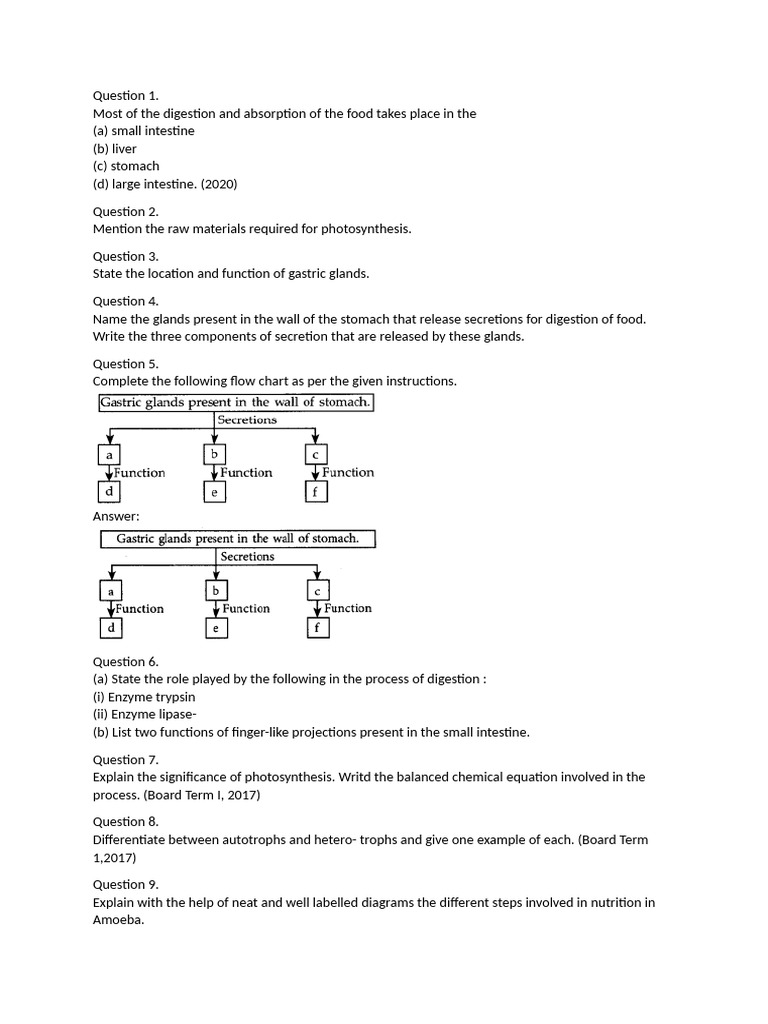 Class 10 Assignment | PDF