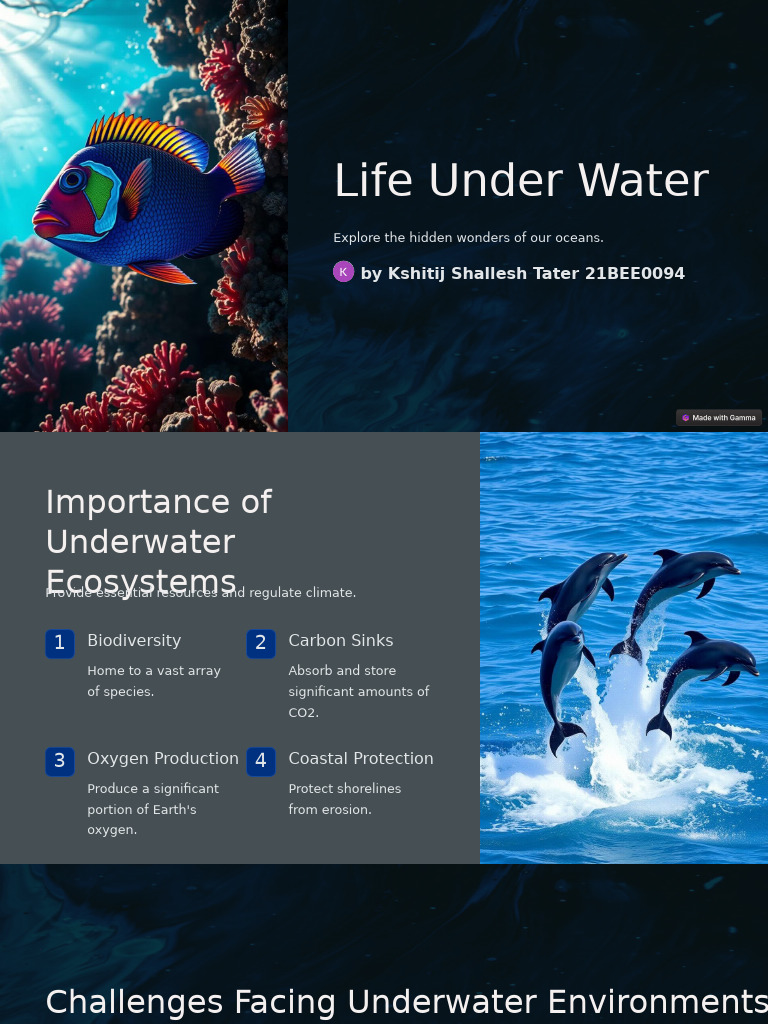 Life Under Water | PDF