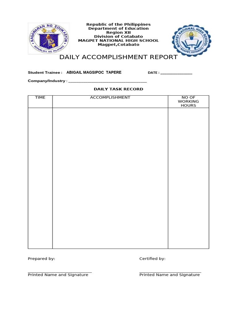 Daily Accomplishment Report | PDF