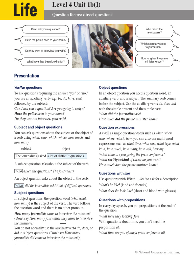 Direct Questions Worksheet | PDF