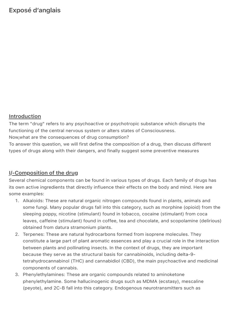 Exposé D'anglais | PDF