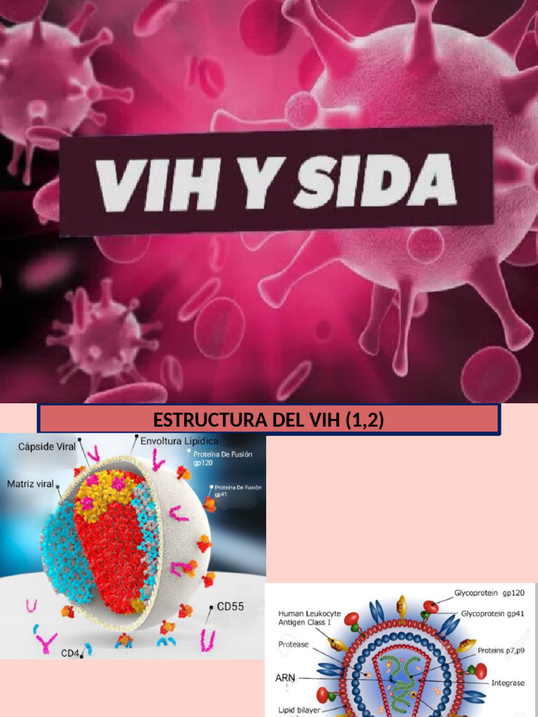 Presentación SIDA-WPS Office | PDF