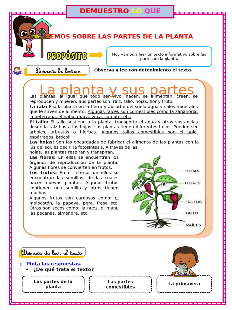 Ficha Comunicacion Las Partes De La Planta Coma Enumerativa Pdf