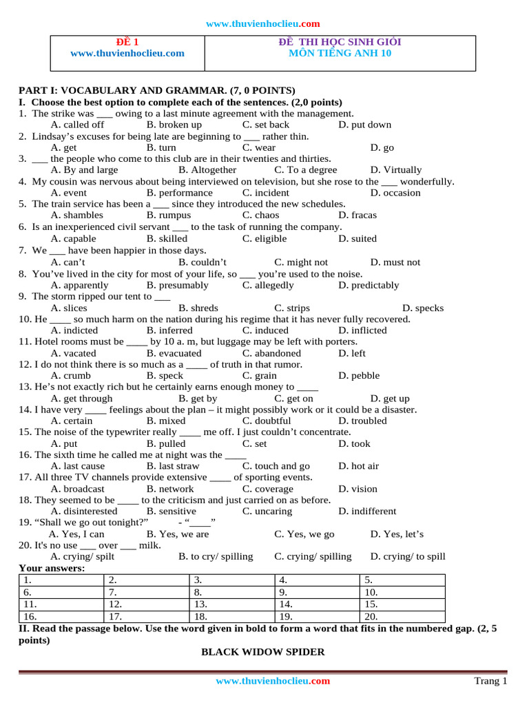 Bo de Thi HSG Tieng Anh 11 Co Dap An | PDF