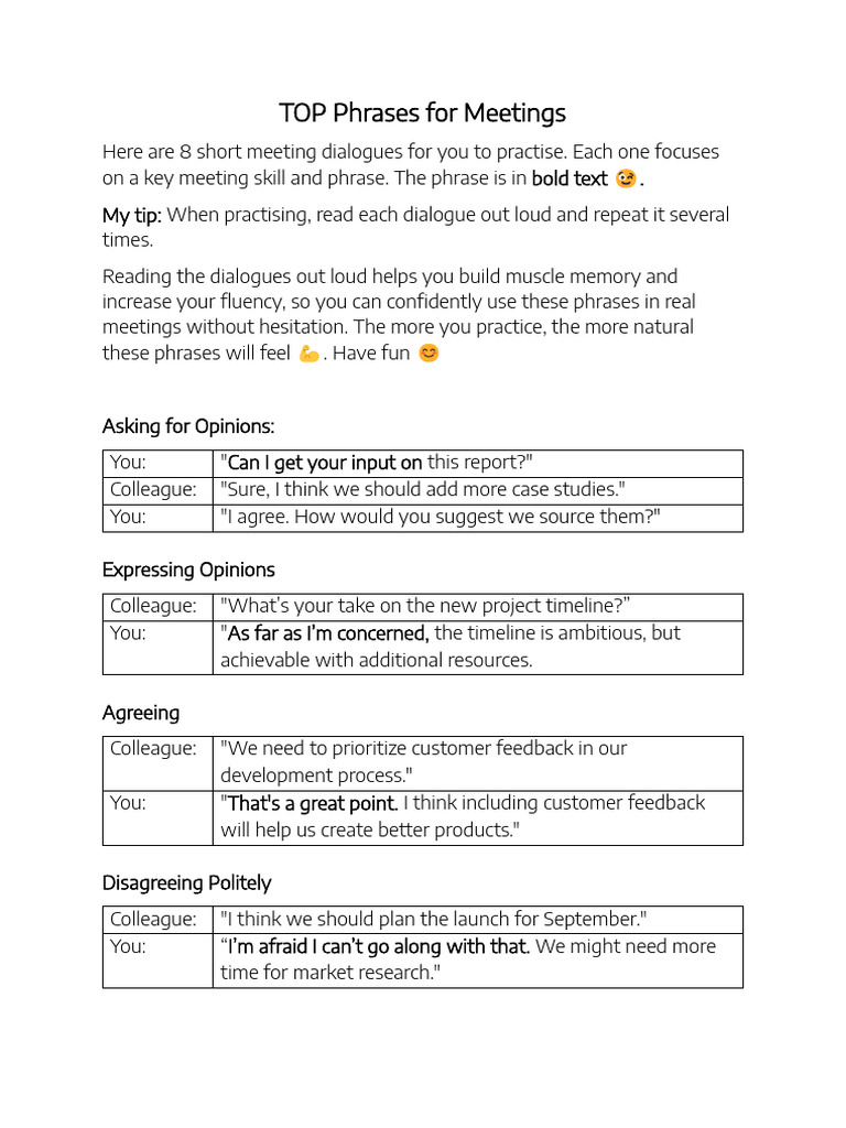 TOP Phrases For Meetings | PDF