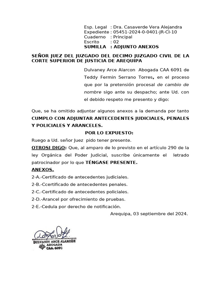 Escrito 2 Adjunto Anexos | PDF