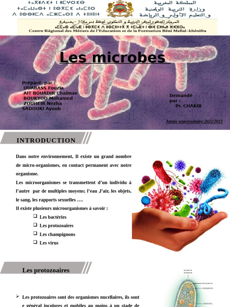Les Microbes | PDF